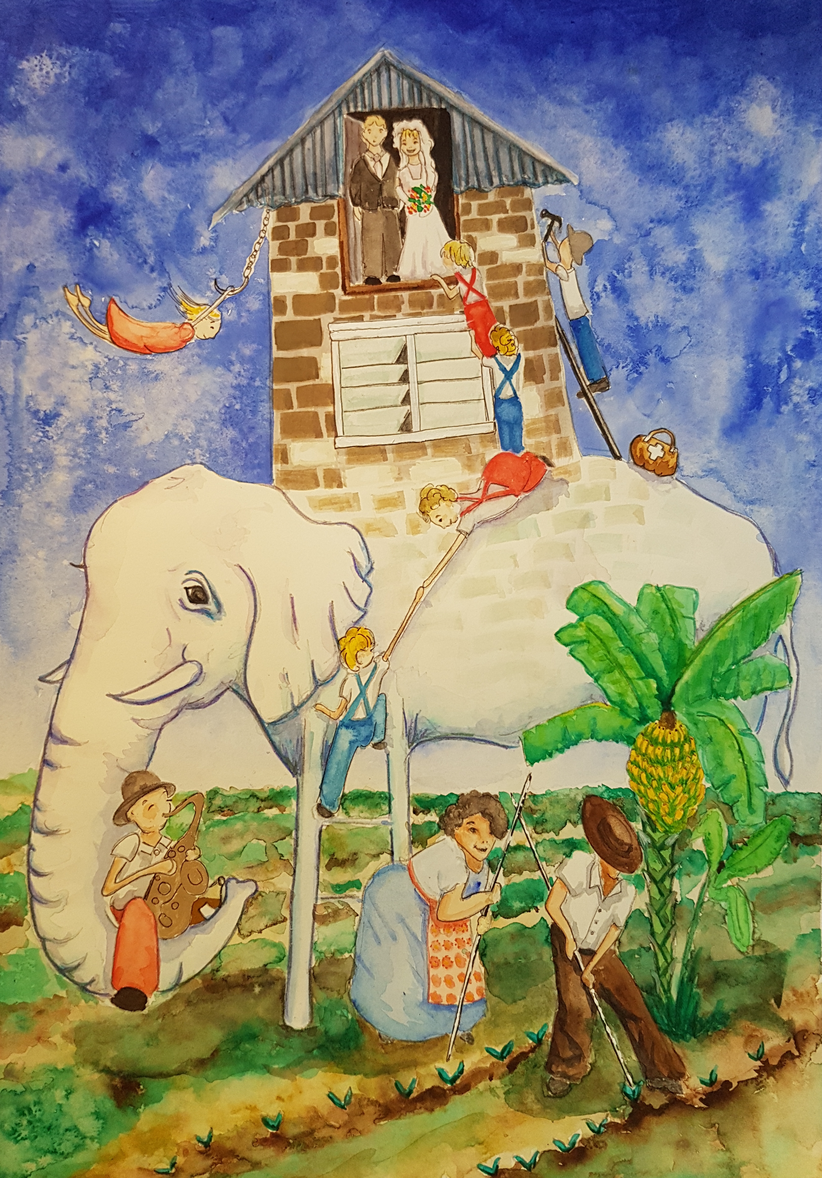 Introduction – The Elephant House
